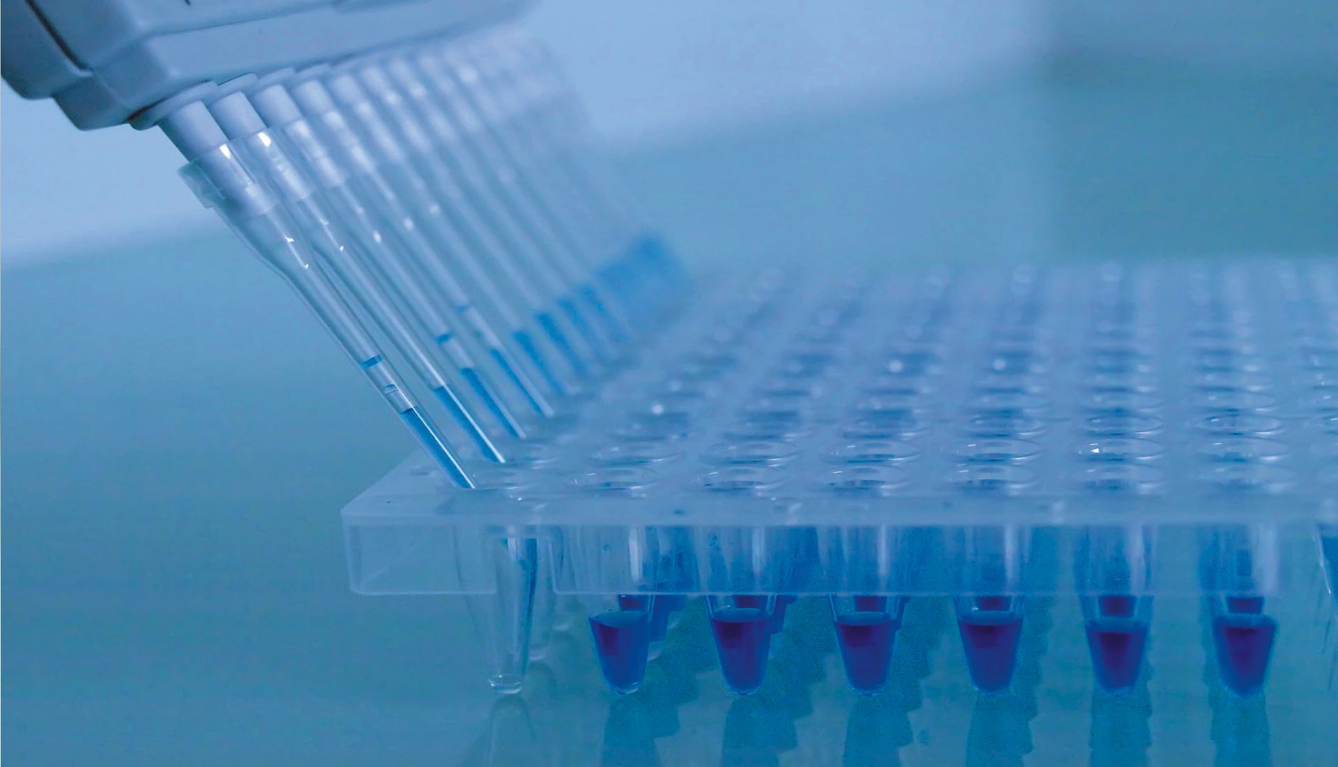 fondo-importancia | BioSim