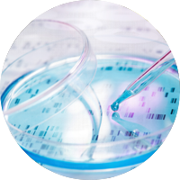 como-se-desarrolla-biosimilares | BioSim