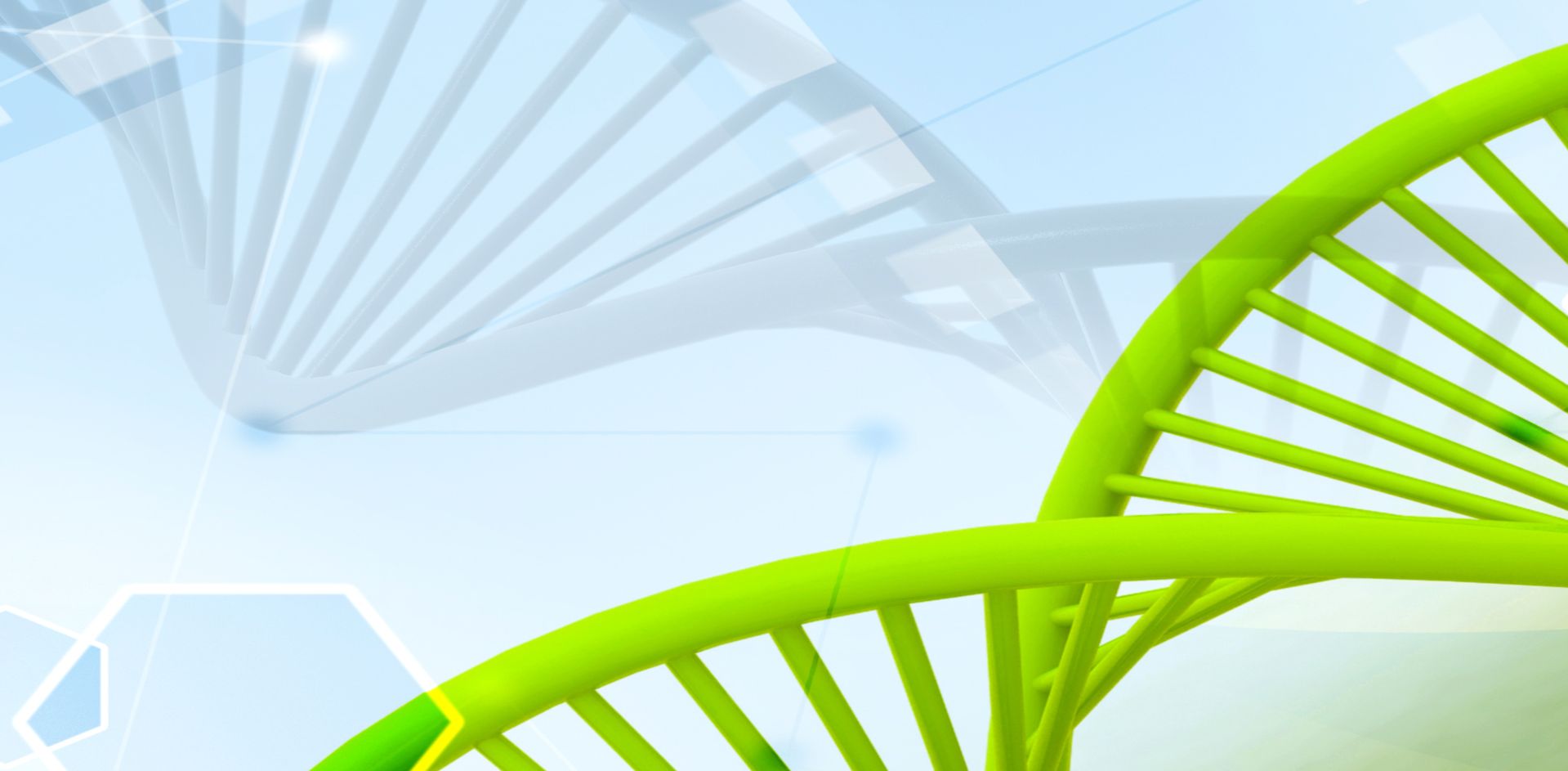 fondo-title2 | BioSim