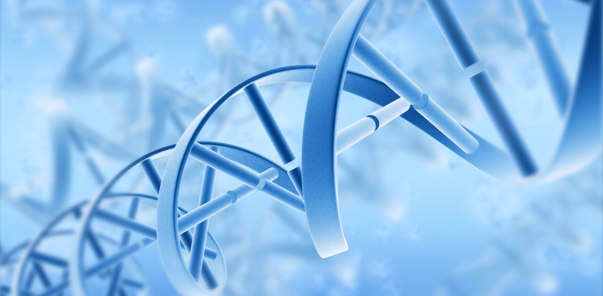 fondo-video | BioSim