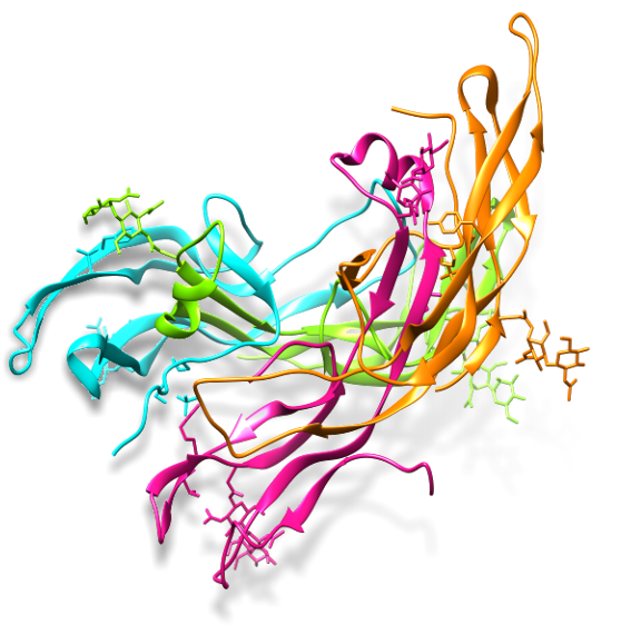 BioSim | Asociación Española de Medicamentos Biosimilares
